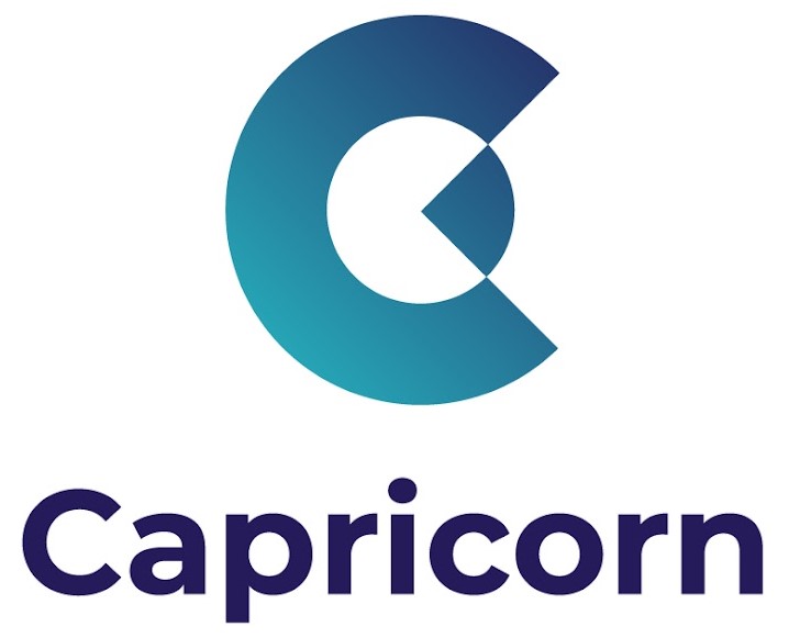 Capricorn's new board to review company's future - Extractive Industries